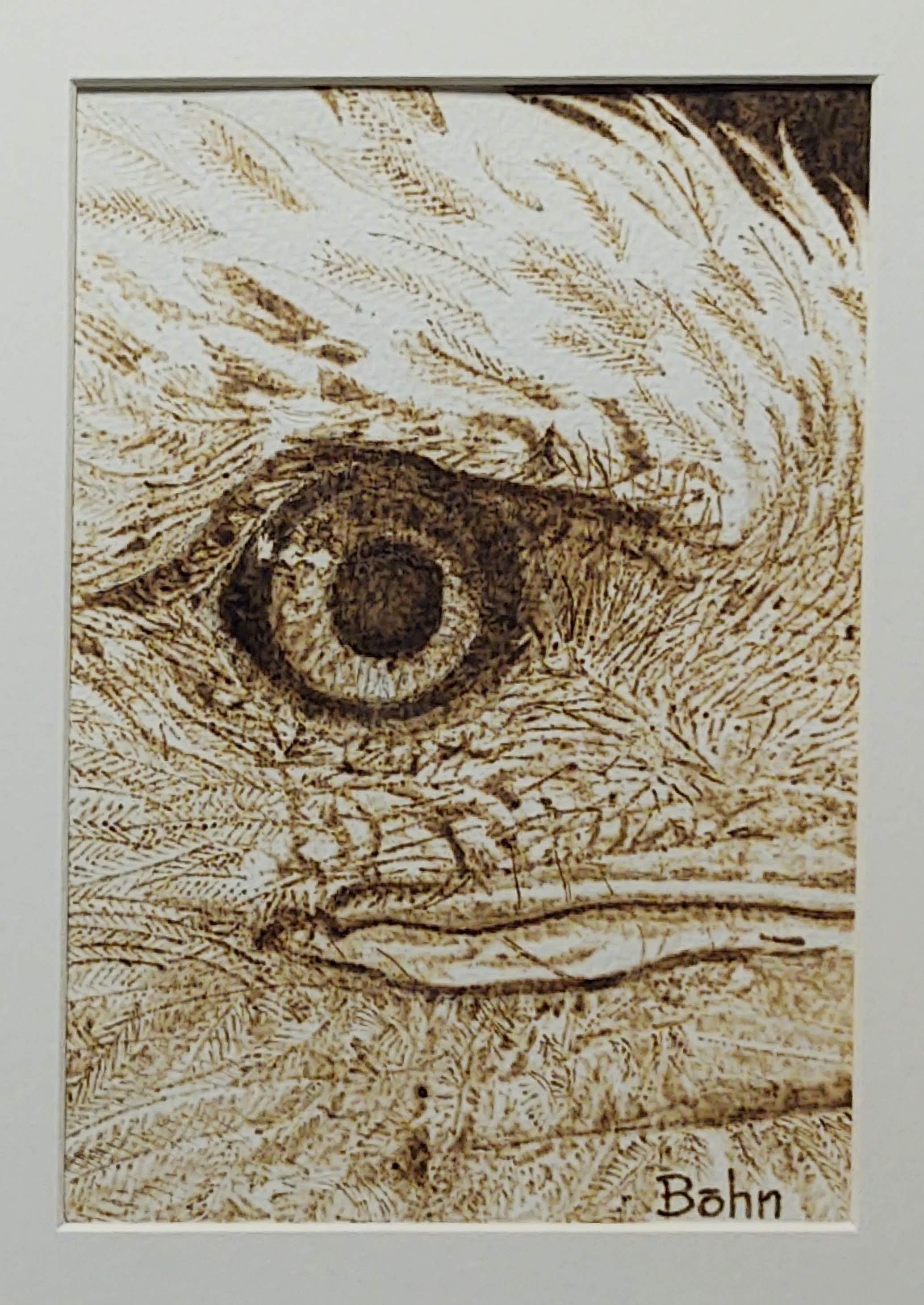 Pyrographic Art – Bohn's Bones Arts, LLC